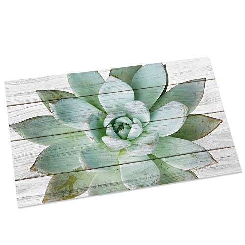 Welcome Doormat Spring Green Succulents Rustic Wood Board,Non Slip Indoor Floor Mat Bath Rug,Tropical Cactus Entrance Carpet for Bedroom Kitchen Living Room Bathroom Decor 16x24In