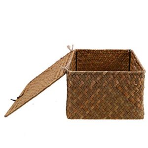 Gatuida Hand-Woven Rectangular Wicker Baskets with Lids, Seagrass Storage Baskets with Button Multipurpose Container for Desktop Home Decor, Size L