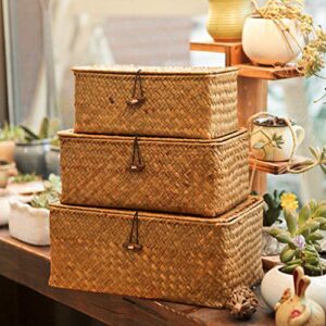 Gatuida Hand-Woven Rectangular Wicker Baskets with Lids, Seagrass Storage Baskets with Button Multipurpose Container for Desktop Home Decor, Size L