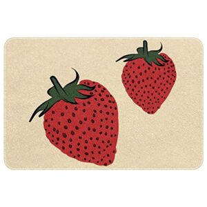 strawberries, indoor door mat durable front door mats entryway rug non-slip absorbent area rugs resist dirt rugs for room decor, 24″x16″