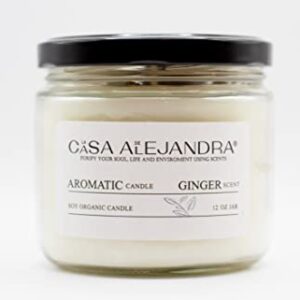 Ginger Aromatherapy Candle with Blue Quartz, White and Amazonite + Healing Crystal+ Soy Wax + Scented Oil + Botanical Decoration + Quartz 12 oz. La CASA de ALEJANDRA