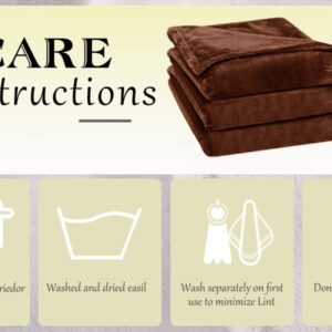 Rerelife Soft Fleece Throw Blanket, Throw Plush Cozy Thick Flannel 350GSM Lightweight Blanket for Couch Bed Sofa (Coffee Brown,40x60 Inches)