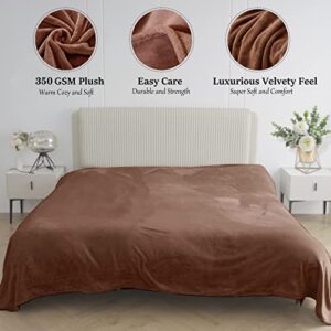 Rerelife Soft Fleece Throw Blanket, Throw Plush Cozy Thick Flannel 350GSM Lightweight Blanket for Couch Bed Sofa (Coffee Brown,40x60 Inches)