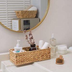 StorageWorks Water Hyacinth Baskets