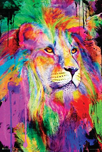 Rainbow King by Aimee Stewart - Non-Flocked Blacklight Poster 24" x 36"