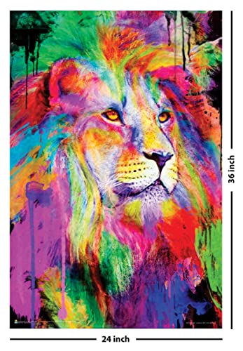 Rainbow King by Aimee Stewart - Non-Flocked Blacklight Poster 24" x 36"