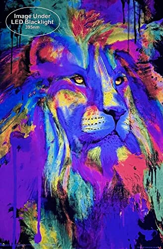 Rainbow King by Aimee Stewart - Non-Flocked Blacklight Poster 24" x 36"