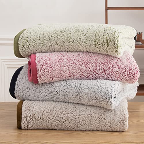 EMME Fuzzy Fleece Warm Blanket 50"x60" Throw Size Ultra Soft Warm Sherpa Blanket Microfiber Cozy Blanket for Couch Sofa Lightweight Fuzzy Thick Reversible Couch Blanket (Sage, 50"x60")