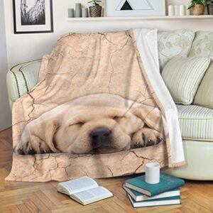 satigi cute face labrador fleece blanket cute labrador blanket dog print fleece blanket fluffy throw blanket for adults, women,baby,kids for sofa bed holiday birthday thanksgiving gifts