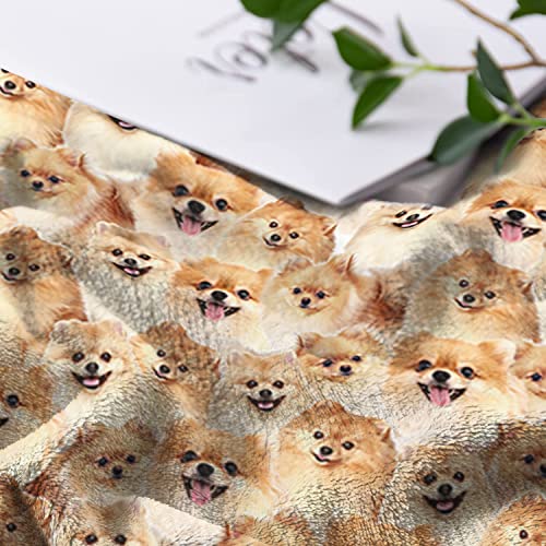 SOULZZZ Pomeranian Throw Blanket Fuzzy Cute Puppy Dog Flannel Blanket Throw Plush Animal Pattern Dog Blanket Twin for Bed Couch Carrier Travel 2-Piece Blanket 30x40 Inches & 60x80 Inches