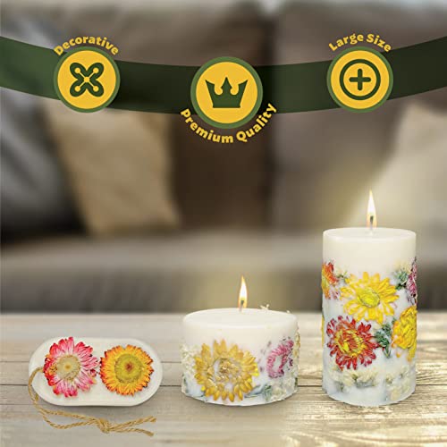 Vionami Aloha Kiwi Passionfruit Scented Candles Gift for Women - Gift-Boxed Scented Pillar Candles Set for Home Decor - Hand Poured Soy Wax Candles with Paper Core Wick and Dried Flowers