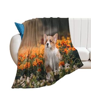 corgi pembroke puppy adventures flannel fleece throw blanket soft warm lightweight fuzzy plush blankets for bed couch sofa 50″x60″