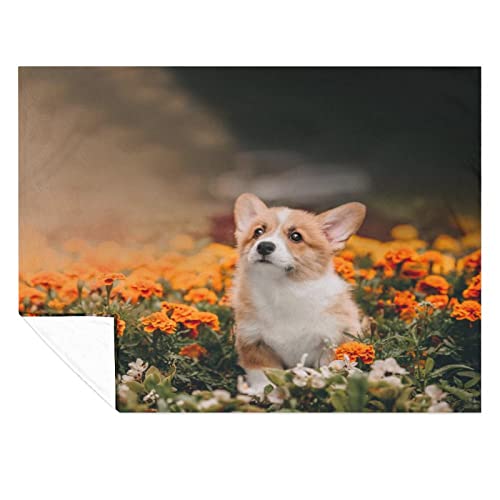 Corgi Pembroke Puppy Adventures Flannel Fleece Throw Blanket Soft Warm Lightweight Fuzzy Plush Blankets for Bed Couch Sofa 50"x60"