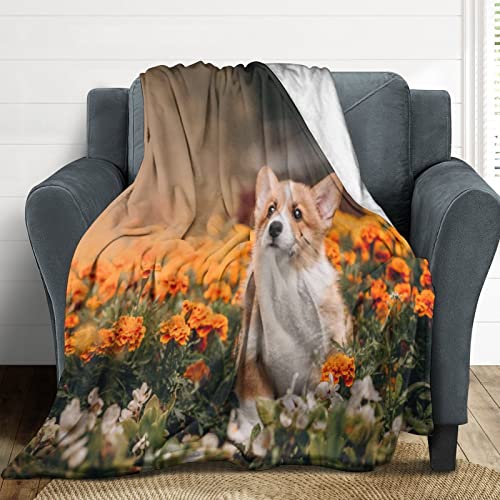 Corgi Pembroke Puppy Adventures Flannel Fleece Throw Blanket Soft Warm Lightweight Fuzzy Plush Blankets for Bed Couch Sofa 50"x60"