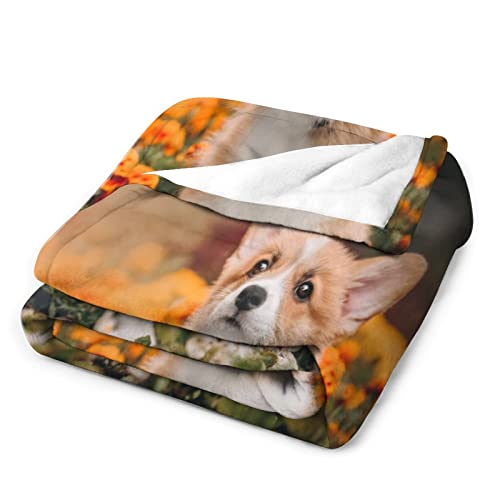 Corgi Pembroke Puppy Adventures Flannel Fleece Throw Blanket Soft Warm Lightweight Fuzzy Plush Blankets for Bed Couch Sofa 50"x60"