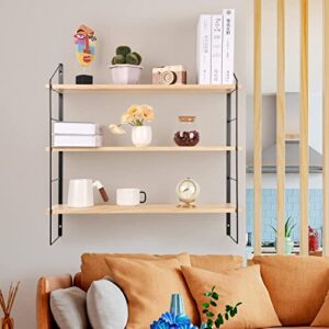 TOYLNGA Floating Shelves,3 Tier Industrial Bookcases,Wall Mounted Hanging Shelf,Modern Book Shelves Shelving for Bedroom, Living Room,Office Storage & Organization