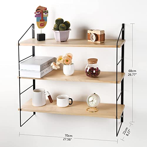 TOYLNGA Floating Shelves,3 Tier Industrial Bookcases,Wall Mounted Hanging Shelf,Modern Book Shelves Shelving for Bedroom, Living Room,Office Storage & Organization