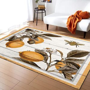 2’x 3′ farm bee summer fruit watercolor wood grain area rug, outdoor indoor washable carpet area+rug for living room, kids/boys/girls bedroom, bathroom, classroom, kitchen, hallway, throw floor mat