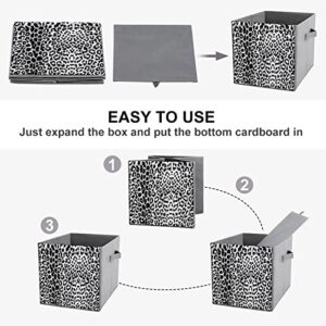 Black and White Leopard Print Collapsible Cubes Storage Bins Closet Organizer Baskets Foldable Organization Boxes with Dual Handles