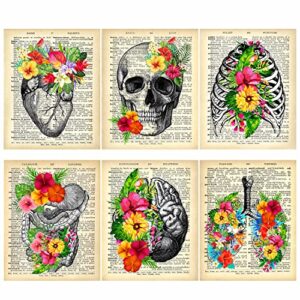 medical dictionary art set – vintage anatomical posters retro floral wall decor for doctors office clinic med student dorm gifts for nurses physician assistant pa women men – unframed 8 x 10 prints