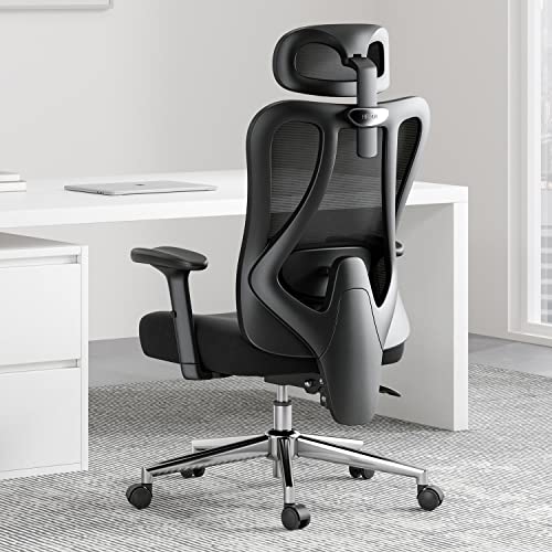 Hbada Ergonomic Office Chair, 2D Adjustable Lumbar Support and Headrest, Large Angle Adjustment of The Back,Black