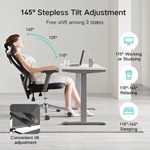 Hbada Ergonomic Office Chair, 2D Adjustable Lumbar Support and Headrest, Large Angle Adjustment of The Back,Black