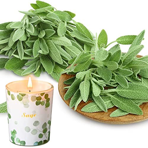 8 Pack Sage Candles for Home Scented, Soy Wax Candle Sage Aromatherapy Candle Fragrance Jar Candles for Cleansing House Negative Energy, Meditation, Smudge