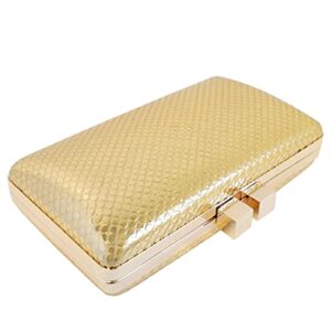 Metallic material Box Clutch, gd4