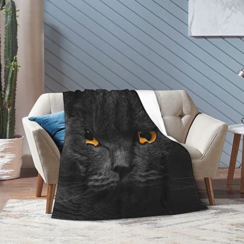 Black Cat Throw Blanket 60x50 Inch Flannel Fleece Fuzzy Soft Plush Blanket for All Season Lightweight Couch Bed Sofa Living Room Office