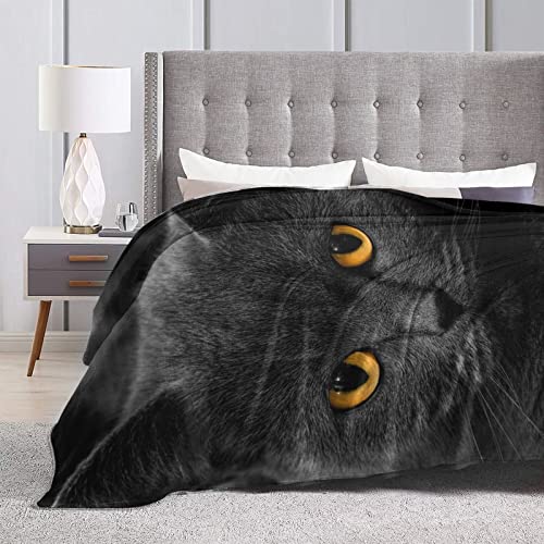 Black Cat Throw Blanket 60x50 Inch Flannel Fleece Fuzzy Soft Plush Blanket for All Season Lightweight Couch Bed Sofa Living Room Office