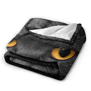 Black Cat Throw Blanket 60x50 Inch Flannel Fleece Fuzzy Soft Plush Blanket for All Season Lightweight Couch Bed Sofa Living Room Office