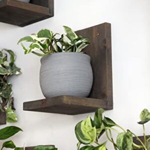 Daniel's Plants Midcentury Modern Gallery Wall Plant Shelf | Pack of 3 Wooden Shelves | L Shaped Floating Shelf Kit | Floating Shelves | Wood Floating Shelf