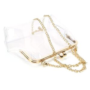 Clear Bag Stadium Approved Crossbody Purse Clutch In Fashion Style For Women Girls With Snap Closure(CP004)