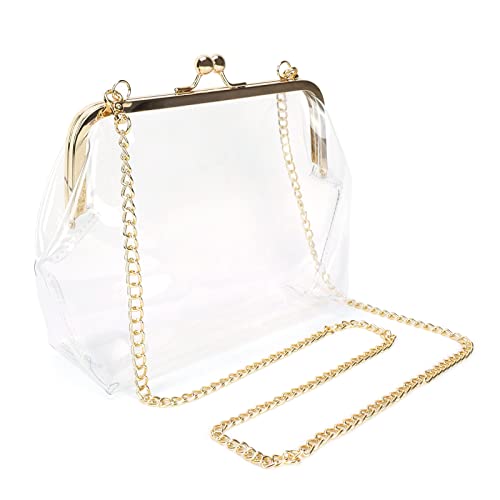 Clear Bag Stadium Approved Crossbody Purse Clutch In Fashion Style For Women Girls With Snap Closure(CP004)