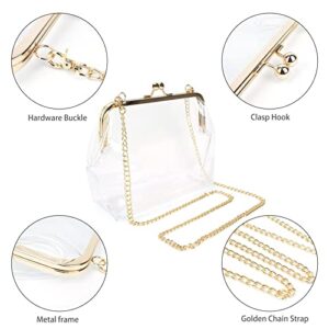 Clear Bag Stadium Approved Crossbody Purse Clutch In Fashion Style For Women Girls With Snap Closure(CP004)