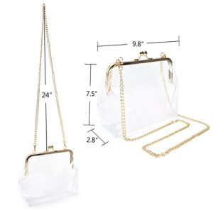 Clear Bag Stadium Approved Crossbody Purse Clutch In Fashion Style For Women Girls With Snap Closure(CP004)