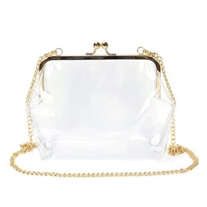 Clear Bag Stadium Approved Crossbody Purse Clutch In Fashion Style For Women Girls With Snap Closure(CP004)