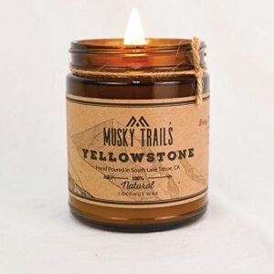 Yellowstone National Park Hand Poured Woodwick Crackle Coconut Wax Candle (8oz)