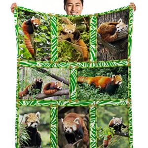 Red Panda Blanket Gifts, 30"x40" Red Panda Throw Soft Flannel Blanket for Kids Adults, Warm Lightweight Cozy Fuzzy Plush Red Panda Lover Gifts for Bed Couch