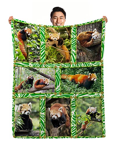 Red Panda Blanket Gifts, 30"x40" Red Panda Throw Soft Flannel Blanket for Kids Adults, Warm Lightweight Cozy Fuzzy Plush Red Panda Lover Gifts for Bed Couch