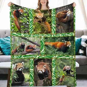 Red Panda Blanket Gifts, 30"x40" Red Panda Throw Soft Flannel Blanket for Kids Adults, Warm Lightweight Cozy Fuzzy Plush Red Panda Lover Gifts for Bed Couch