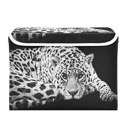 Kigai Leopard Cheetah Black Storage Basket with Lid Collapsible Storage Bin Fabric Box Closet Organizer for Home Bedroom Office 1 Pack