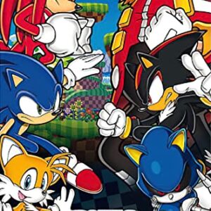 Sonic The Hedgehog - TV Show/Gaming Poster (The Gang - Good Vs. Evil) (Size: 24" x 36")