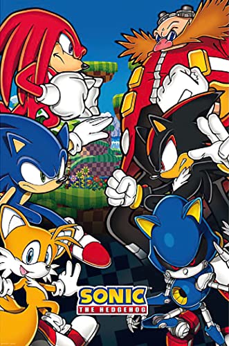 Sonic The Hedgehog - TV Show/Gaming Poster (The Gang - Good Vs. Evil) (Size: 24" x 36")