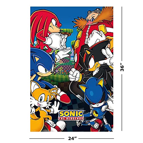 Sonic The Hedgehog - TV Show/Gaming Poster (The Gang - Good Vs. Evil) (Size: 24" x 36")