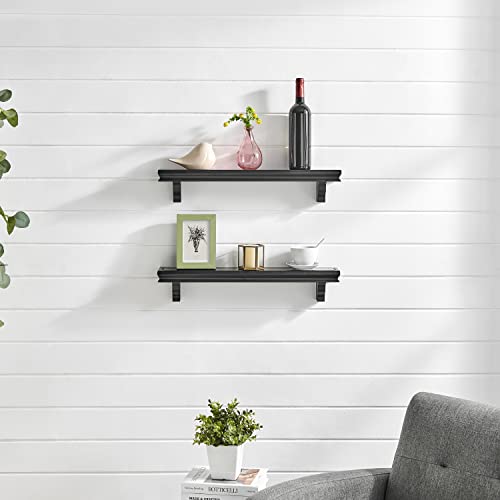 Danya B. Decorative 24" Floating Wall Décor Display Ledge Shelves – (Set of 2) (Black)