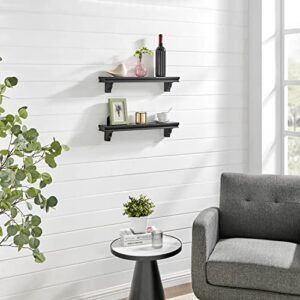 Danya B. Decorative 24" Floating Wall Décor Display Ledge Shelves – (Set of 2) (Black)