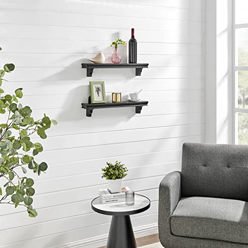 Danya B. Decorative 24" Floating Wall Décor Display Ledge Shelves – (Set of 2) (Black)