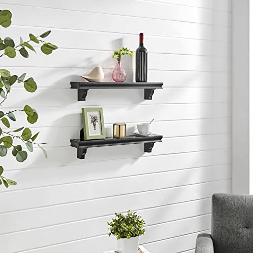 Danya B. Decorative 24" Floating Wall Décor Display Ledge Shelves – (Set of 2) (Black)