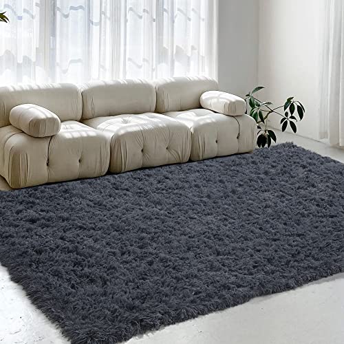 HOMBYS Fluffy Large Area Rug for Living Room 8x10 Feet, 2.4" Plush Indoor Carpets for Bedroom Childern Nursery Teens Room, Super Soft Shaggy Furry Rugs Machine Washable Home Decor